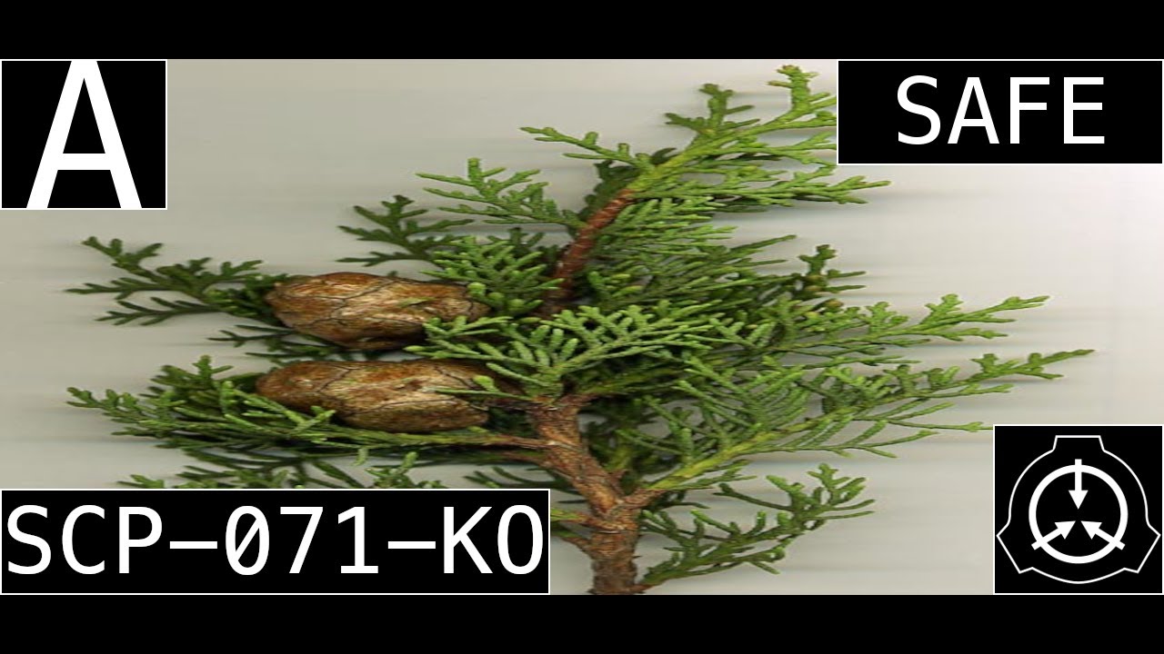 SCP-071-KO "Streetlight Tree" [SCP International] - YouTube