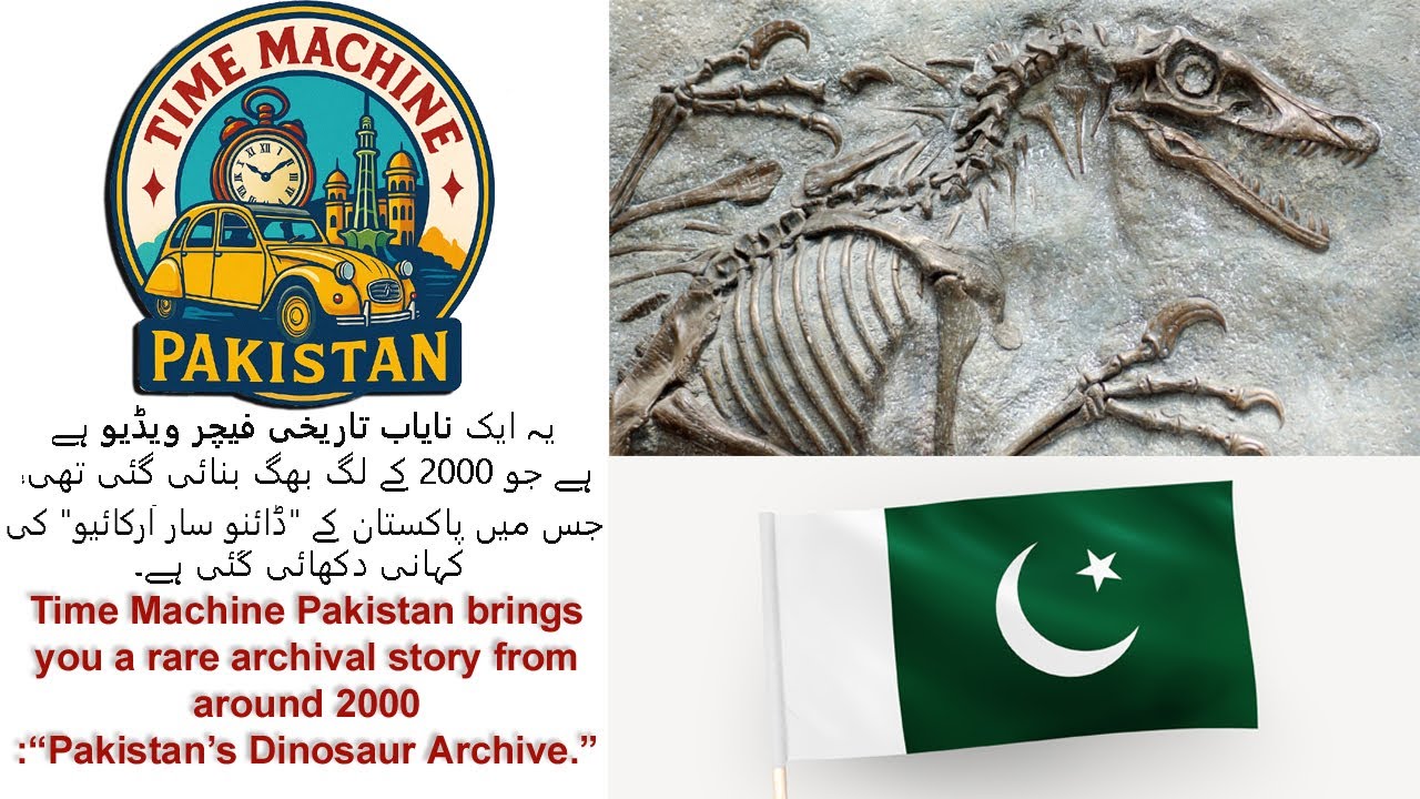 🦖 پاکستان میں دریافت ہونے والے مشہور ڈائنو سار فوسلز (بلوچستان ...
