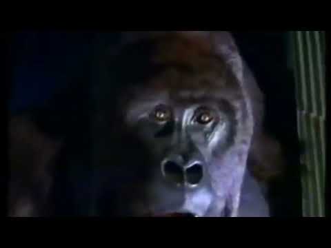 Mighty Joe Young - Short Trailer