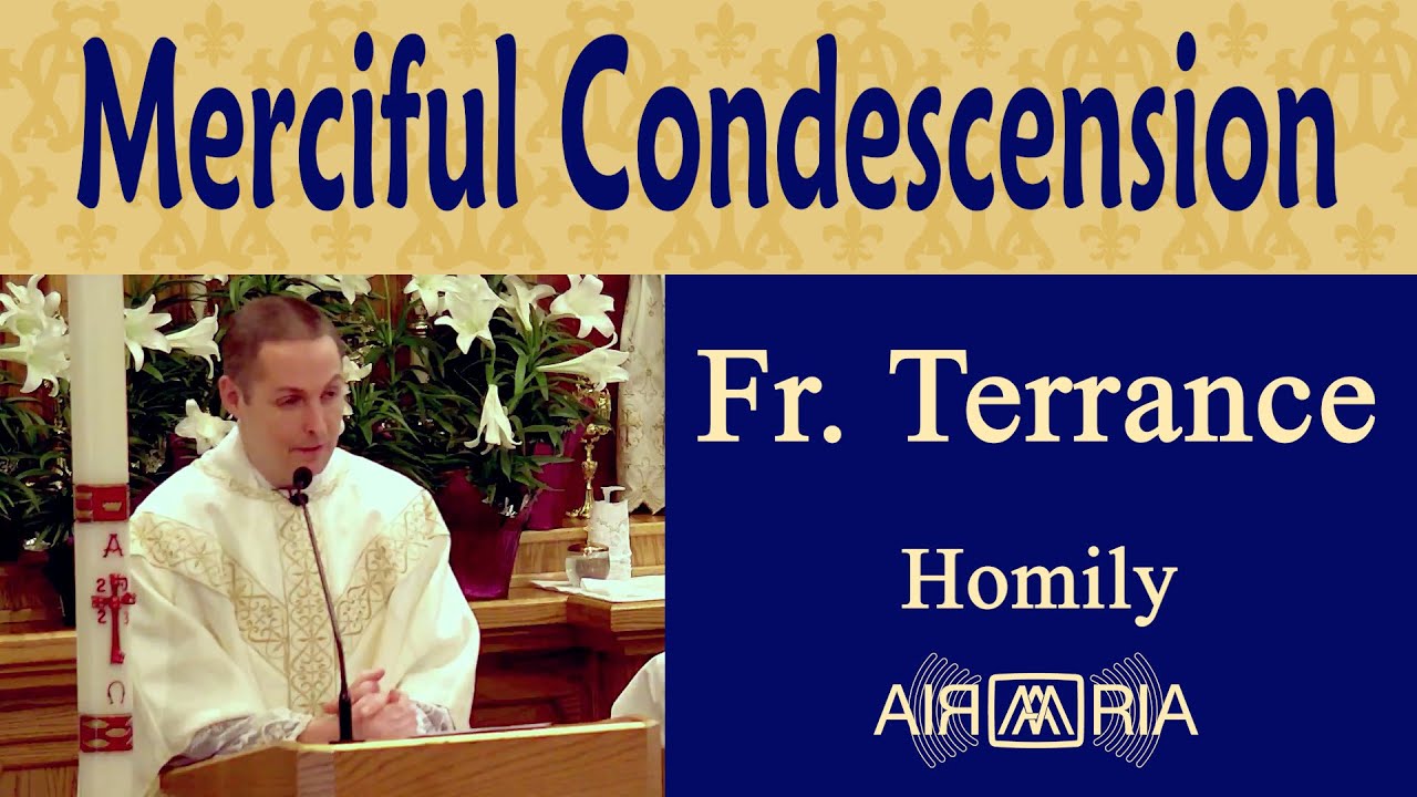 Mercy Reaches Down from Heaven - Apr 16 - Homily - Fr Terrance - YouTube