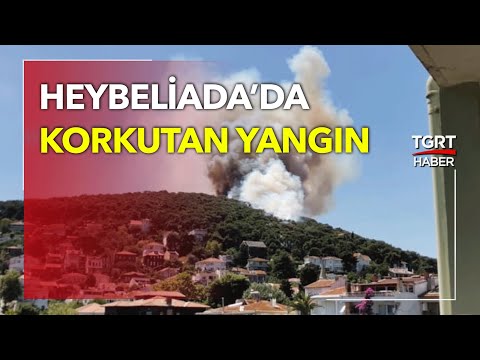 Heybeliada'da Korkutan Yangın!