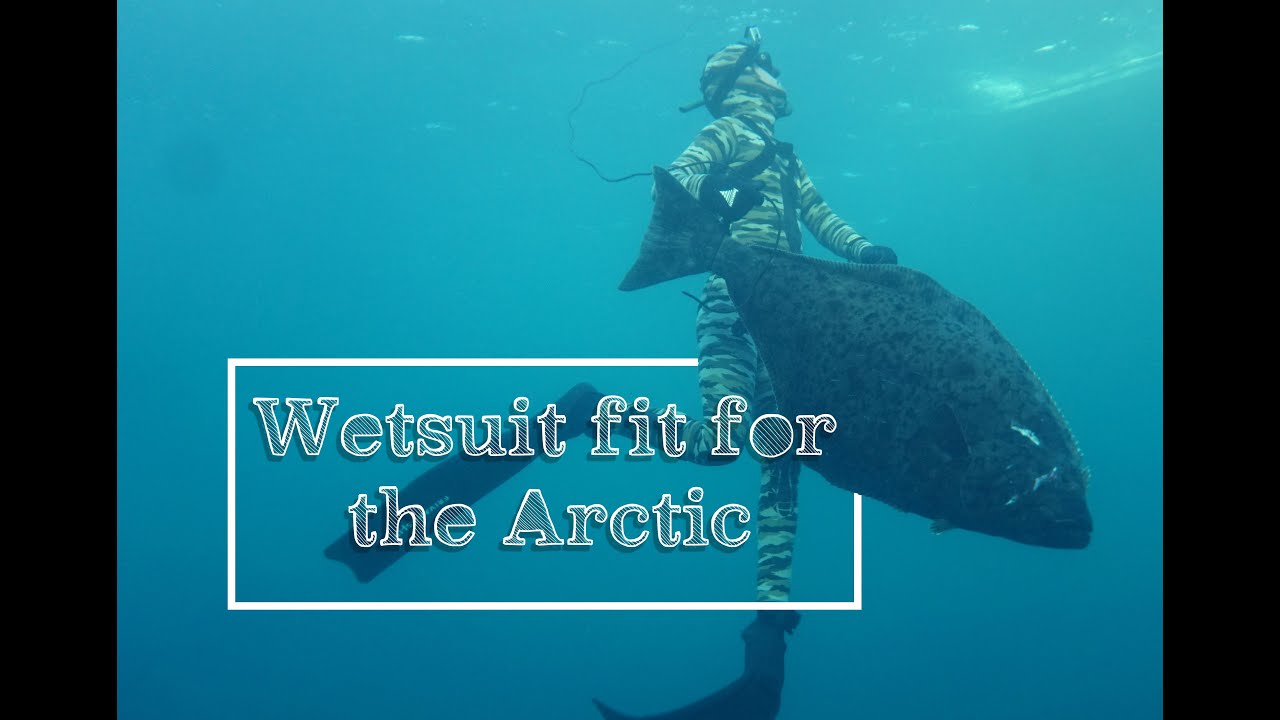 Arctic Spearfishing: Wetsuit for Arctic conditions (and a lot of dead ...