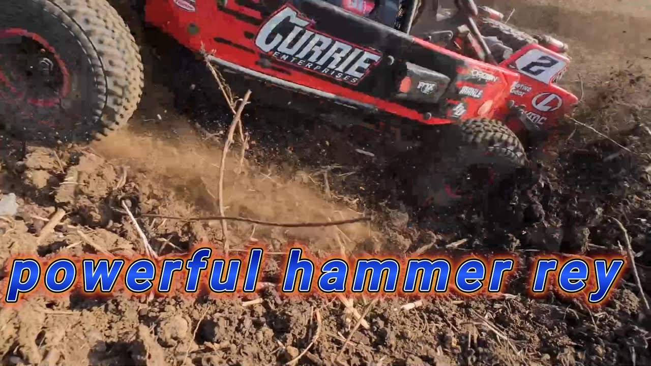 힘 있는 해머레이 Powerful Hammer Ray - YouTube