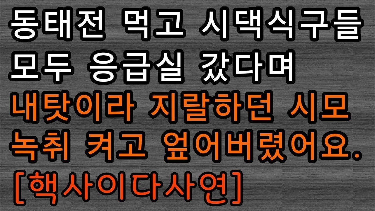 핵사이다사연 누명 씌우던 시모 시댁식구들 앞에서 녹음기를 켰더니 사이다사연 사이다썰 미즈넷사연 응징사연 반전사연 참교육사연 라디오사연 핵사이다사연 레전드사연 Youtube