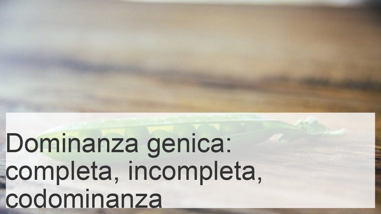 Tipi di dominanza genica: completa, incompleta e codominanza - YouTube