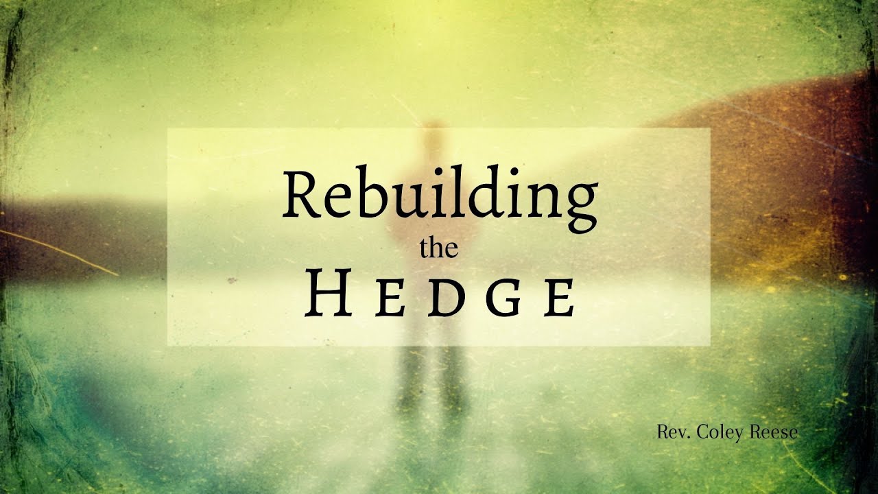 "Rebuilding the Hedge" - Rev. Coley Reese - July 12, 2020 - 11:30am ...