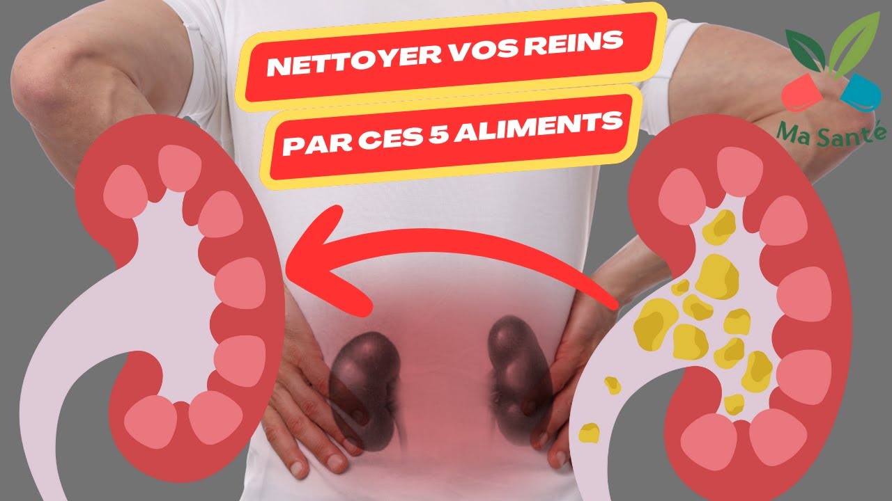 5 aliments pour nettoyer les reins | insuffisance rénale | néphrologie ...