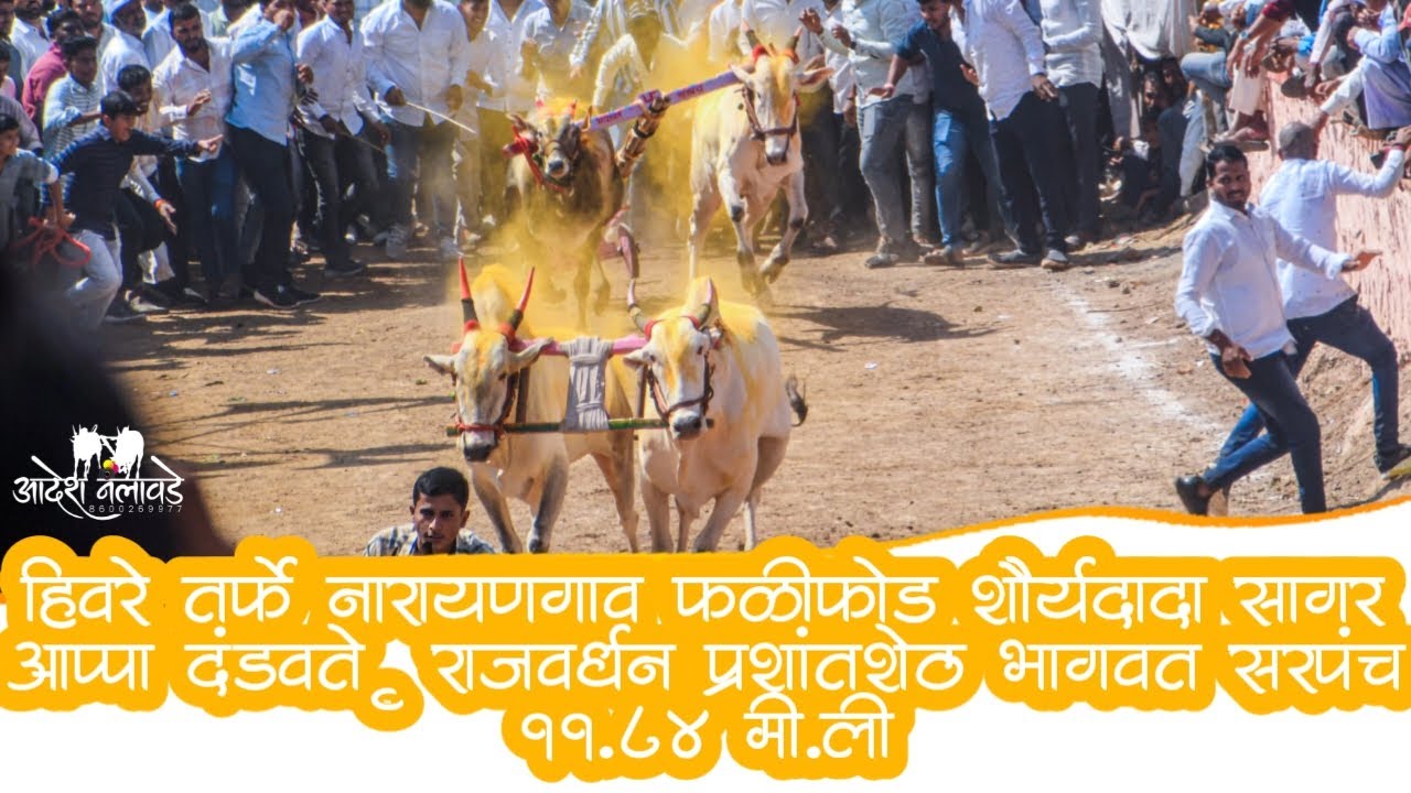 हिवरे तर्फे नारायणगाव फळीफोड शौर्यदादा सागरआप्पा दंडवते & राजवर्धन ...
