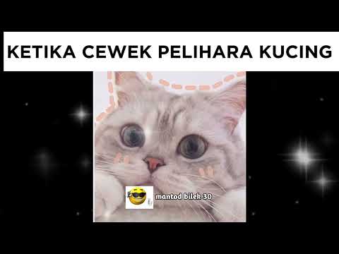 Cewek vs Lanang Ketika Pelihara Kucing...