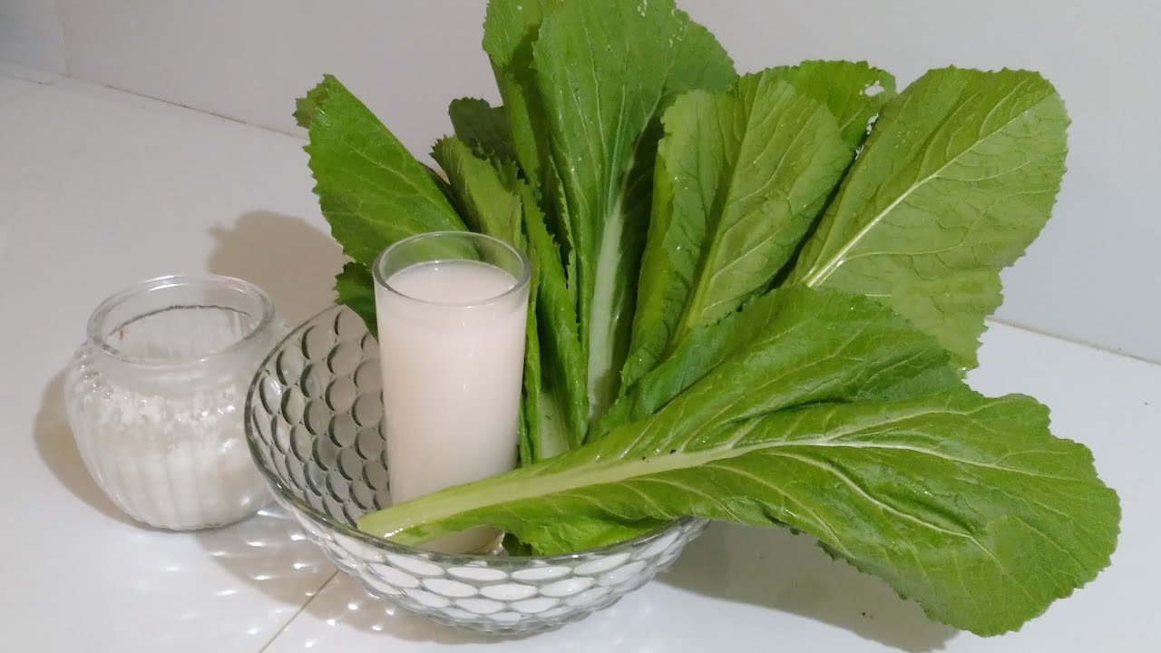 SIMPLENG PAGGAWA NG BURONG MUSTASA( FERMENTED MUSTARD LEAVES) - YouTube