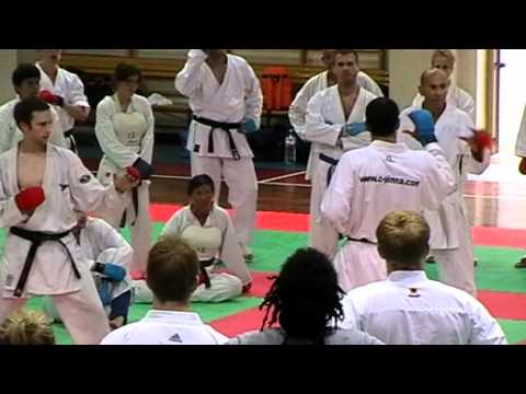 Christophe PINNA-Kumite Seminar-07-02-2009-part 1 of 6