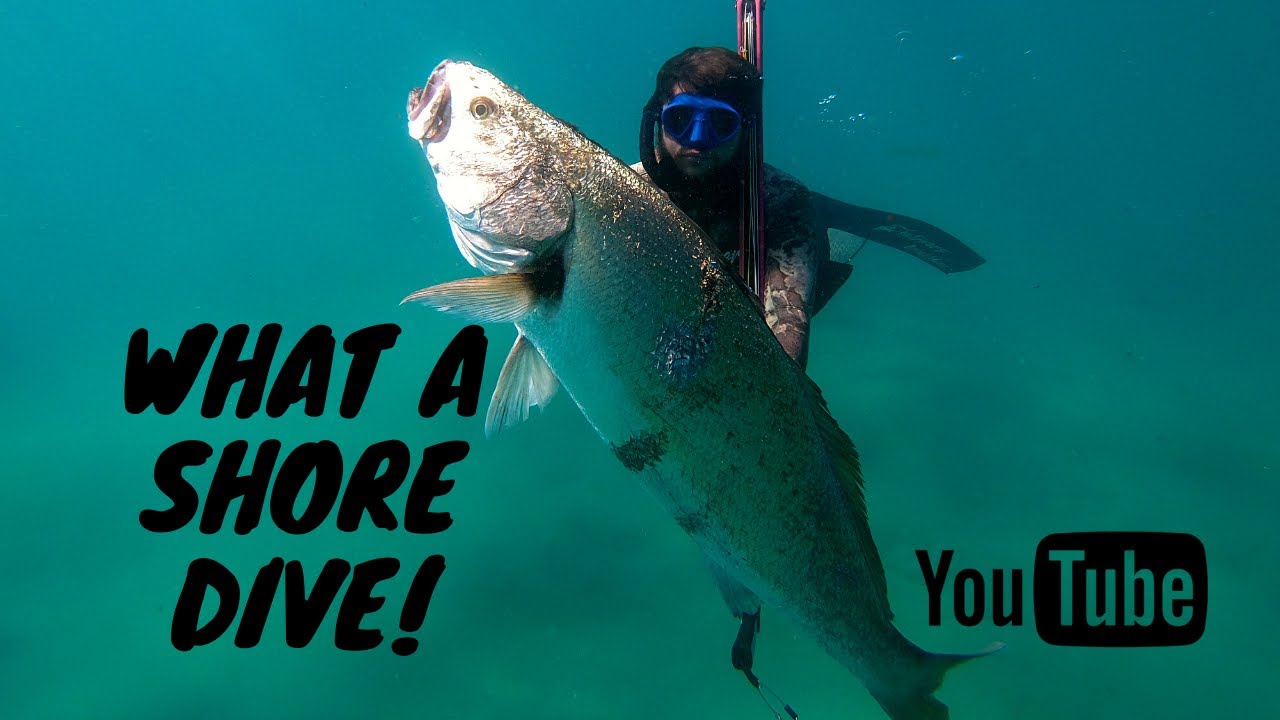 Spearfishing SOUTH COAST RSA | A Local Shore Dive - YouTube