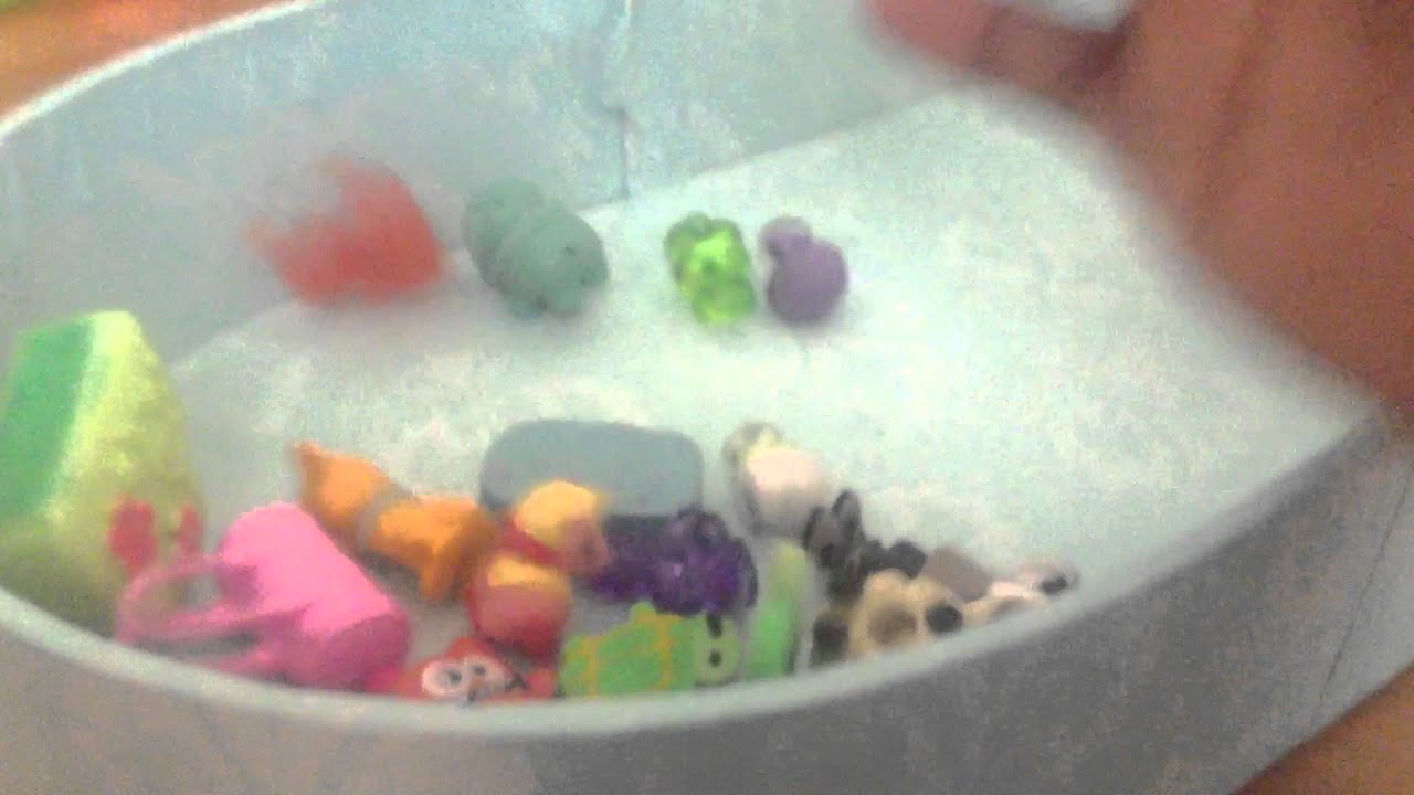 Trip to America w/Gem Pets! - YouTube