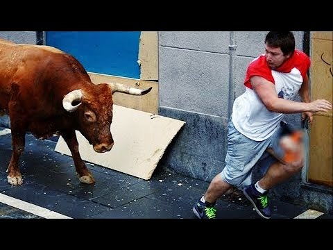 Komik Hayvan Saldırıları 🐏🐂 Aşırı komik 😂| #FunnyVideo #FunnyAnimals