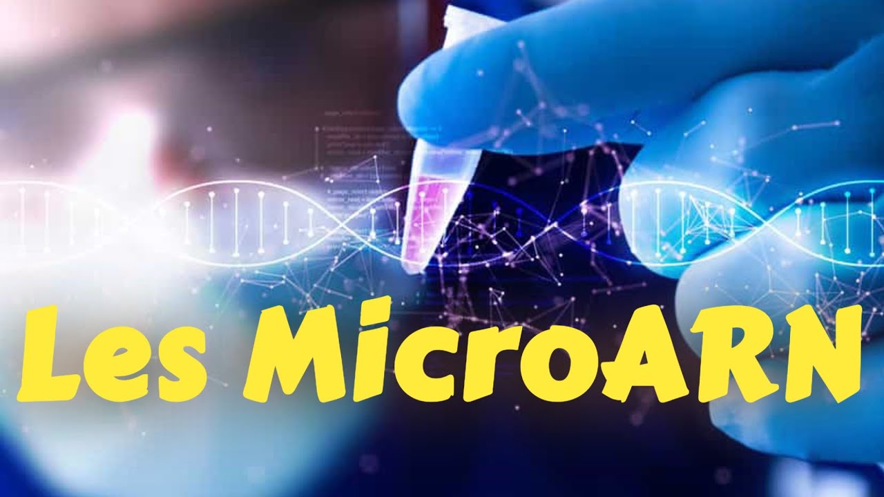 Les MicroARN : Une Révolution Médicale en Marche - YouTube