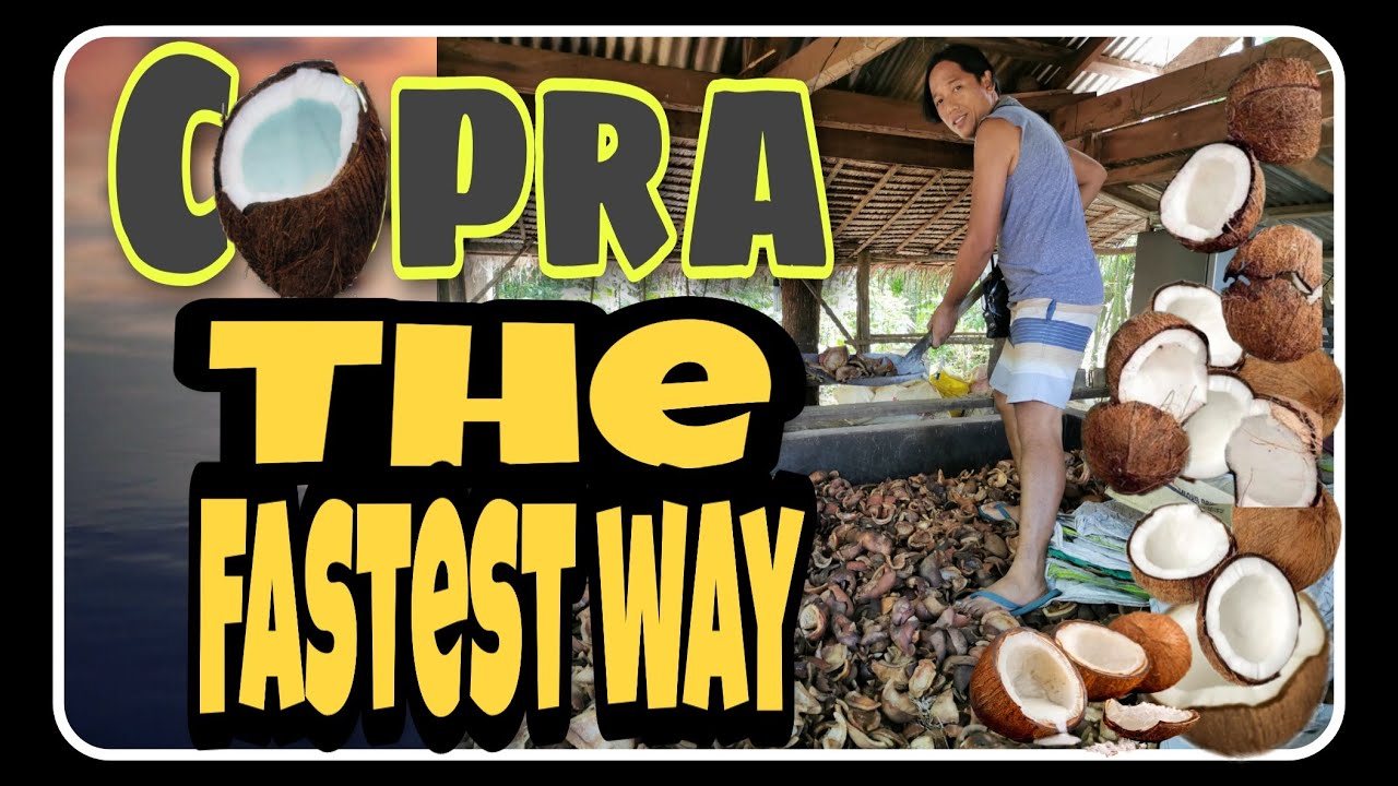 BEST way to cook COPRA | FASTEST WAY - YouTube