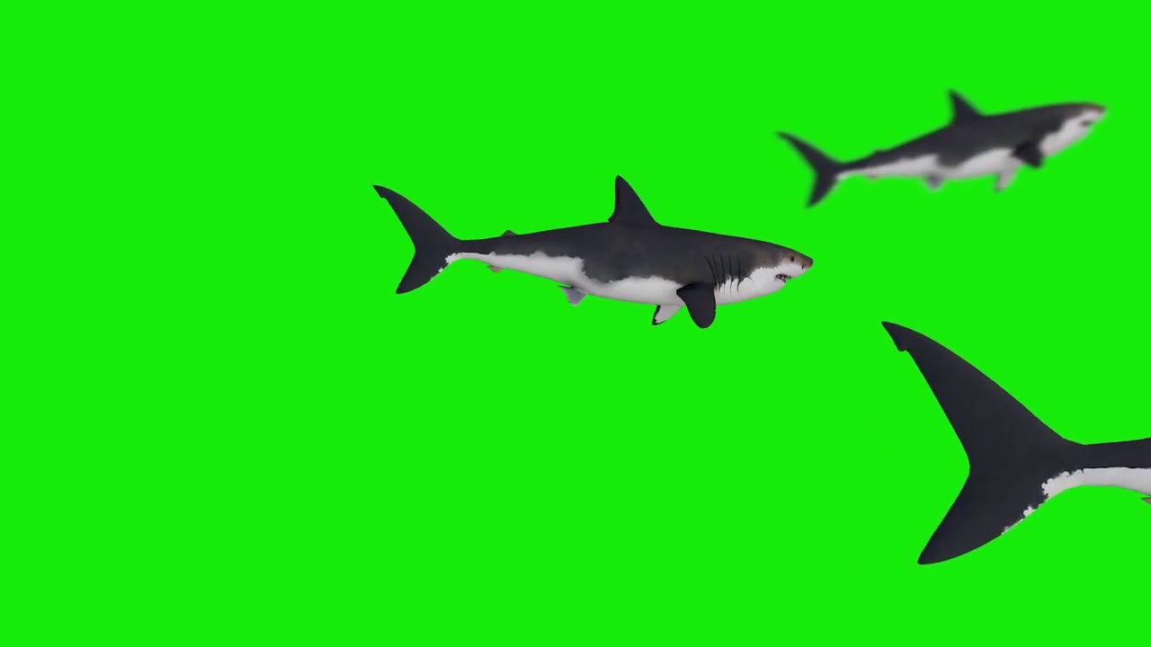 Green screen fish effect - YouTube