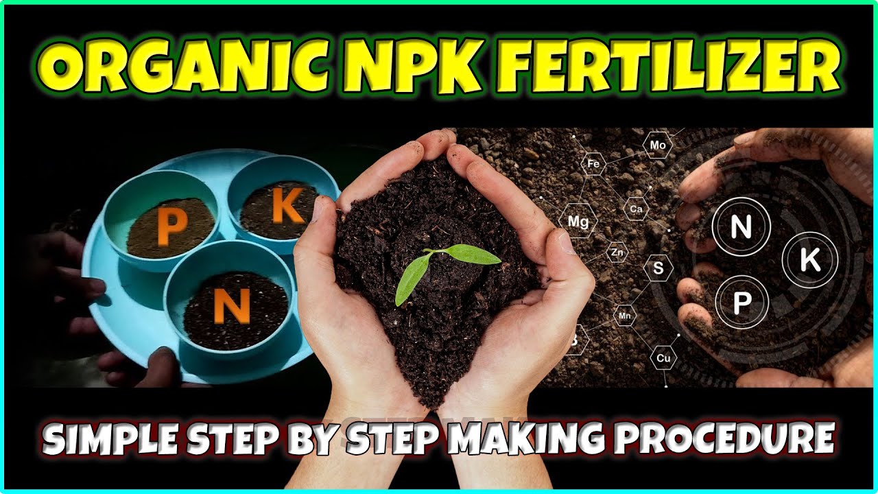 How To Make Organic NPK Fertilizer At Home YouTube