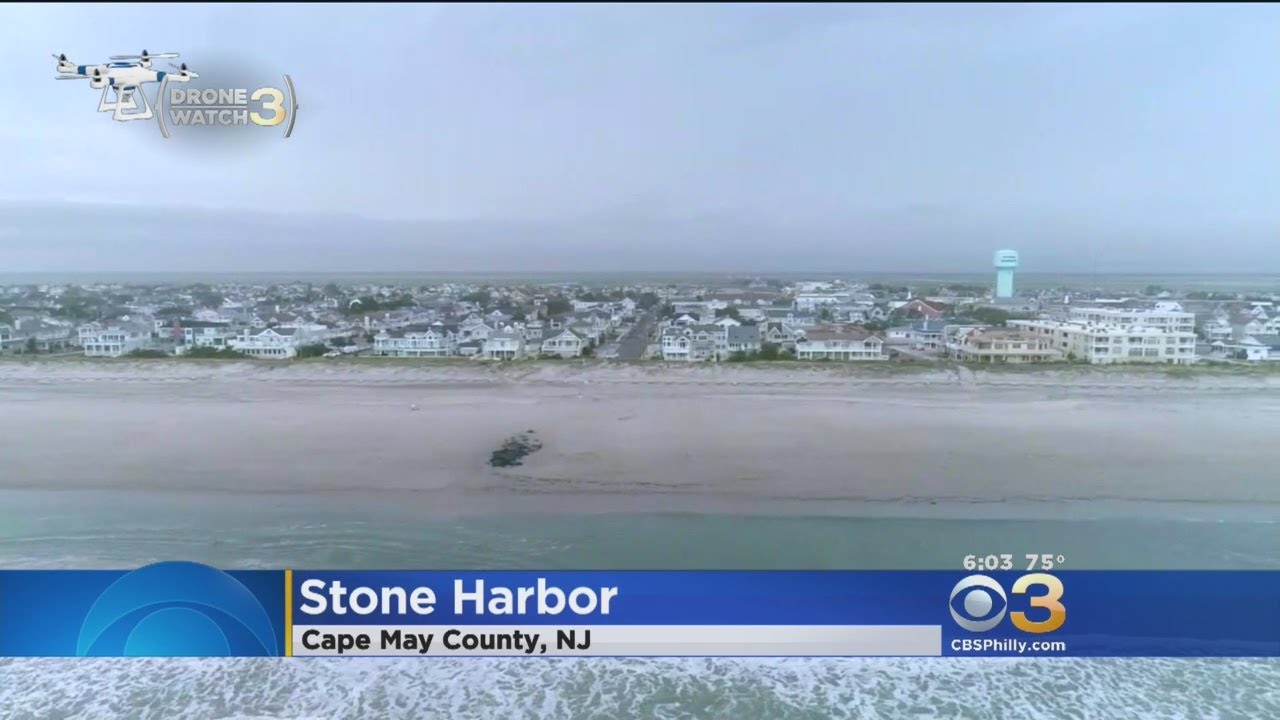 Are Dogs Allowed On Stone Harbor Beaches