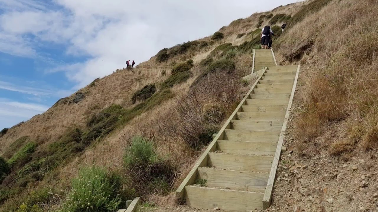 WISC Escarpment Walk, 16 Mar, 2019 - YouTube