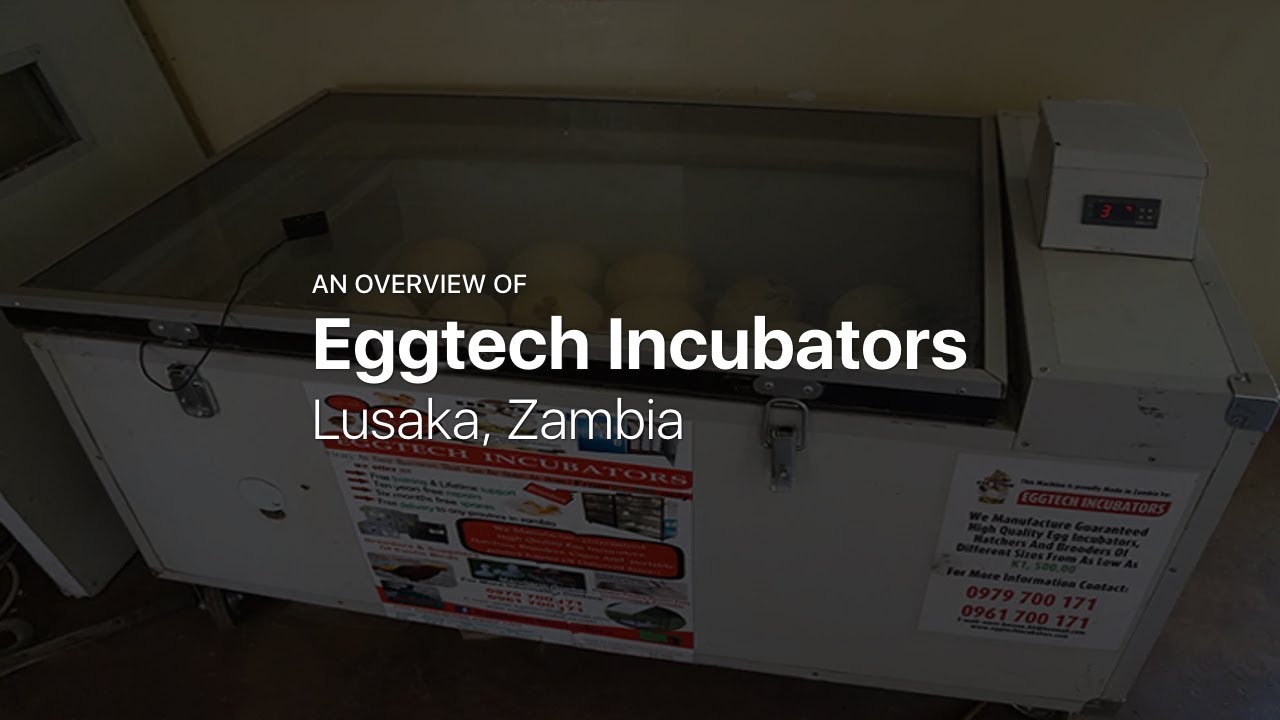 Eggtech Incubators — Poultry rearing equipment in Lusaka, Zambia - YouTube