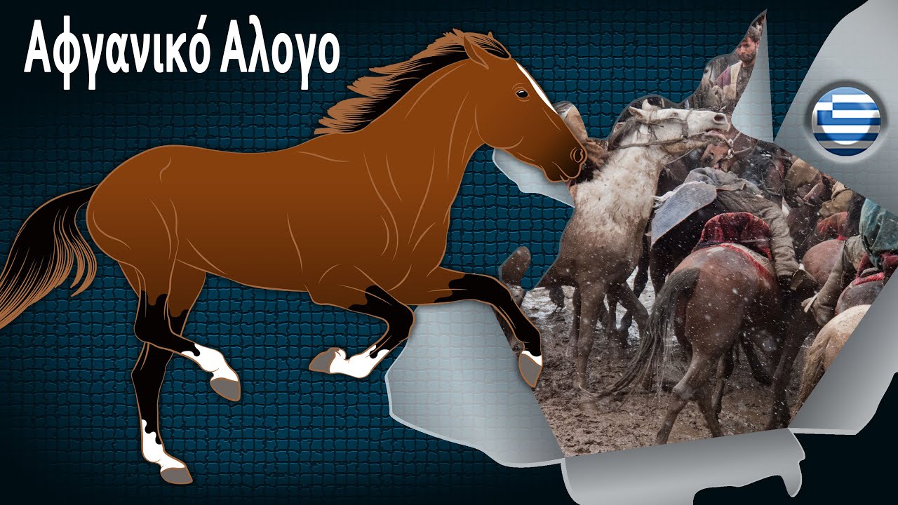 ΑΦΓΑΝΙΚΌ ΑΛΟΓΟ, το άλογο υπερέχει στο παιχνίδι του Μπουζκάσι, Ράτσες ...