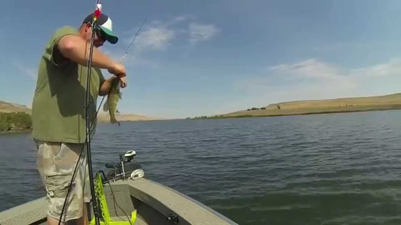 bass fishing crow butte columbia river - YouTube
