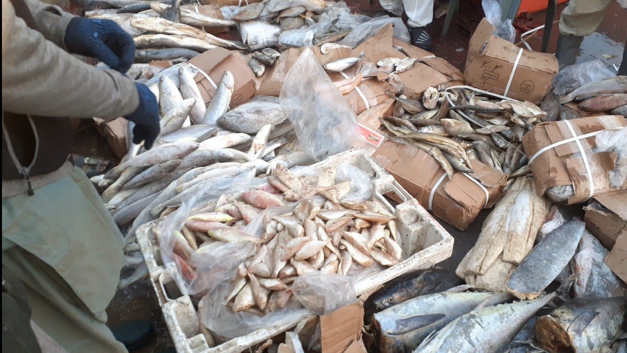 Fish Video | Latest Rates of fish | Karachi Fishery Market on 20/01 ...