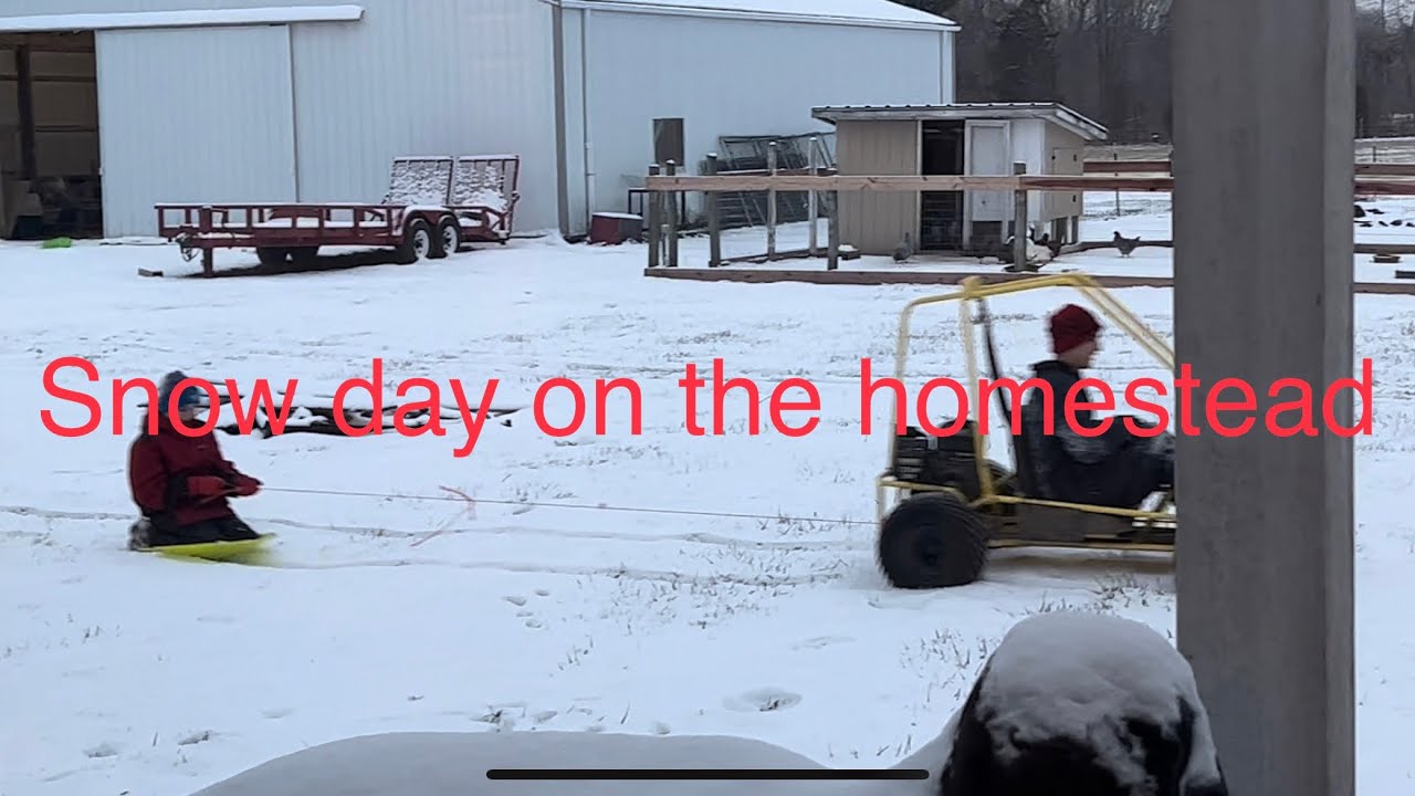 Snow day fun on the homestead - YouTube