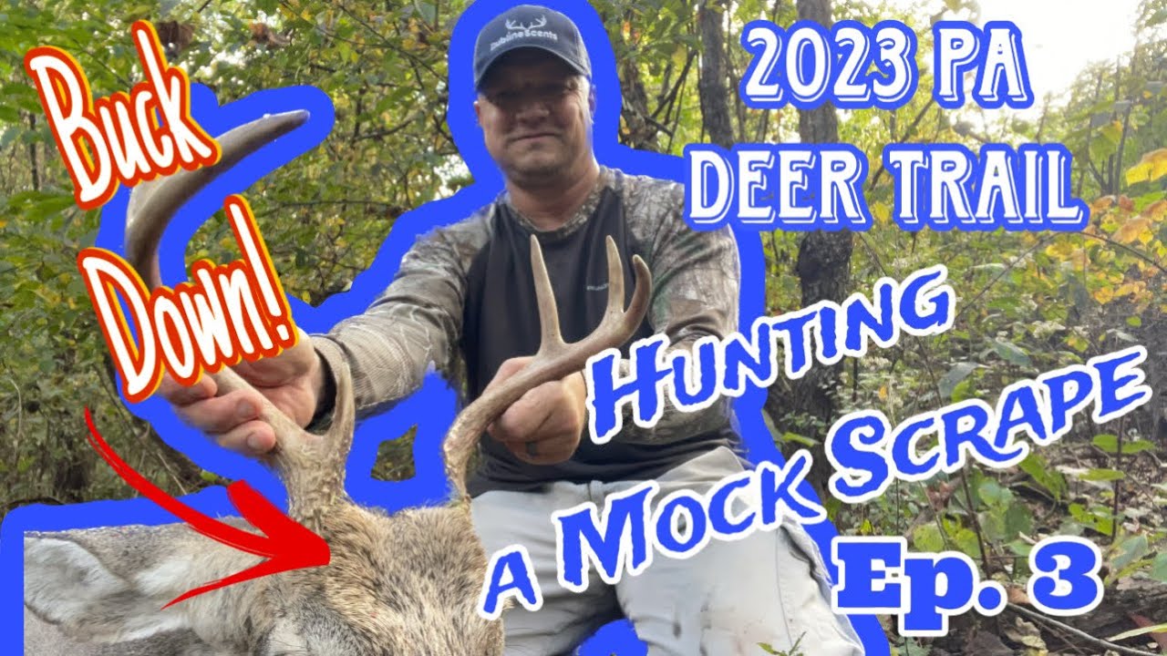 Deer Hunting| 2023 PA Deer Trail! “Buck Down” Hunting a Mock Scrape ...
