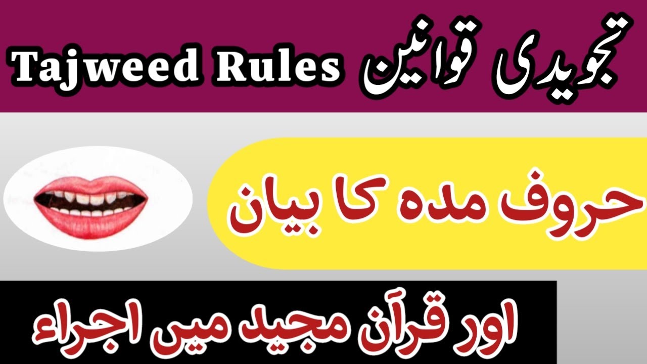 learn tajweed rules| 3 maddah letters| madda letters kon se hen|# ...