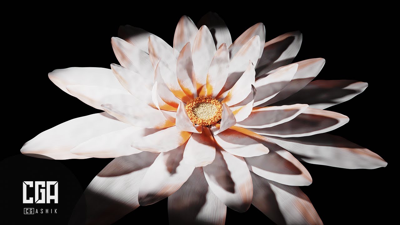 Flower Blooming Animation || By CG Ashik - YouTube