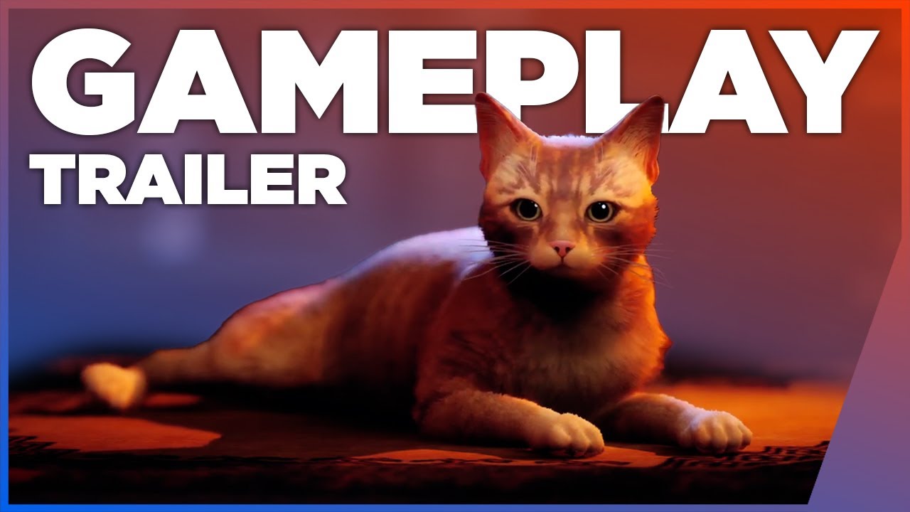 Stray | Nouveau Trailer de Gameplay Officiel (2022) PS5 | State of Play ...