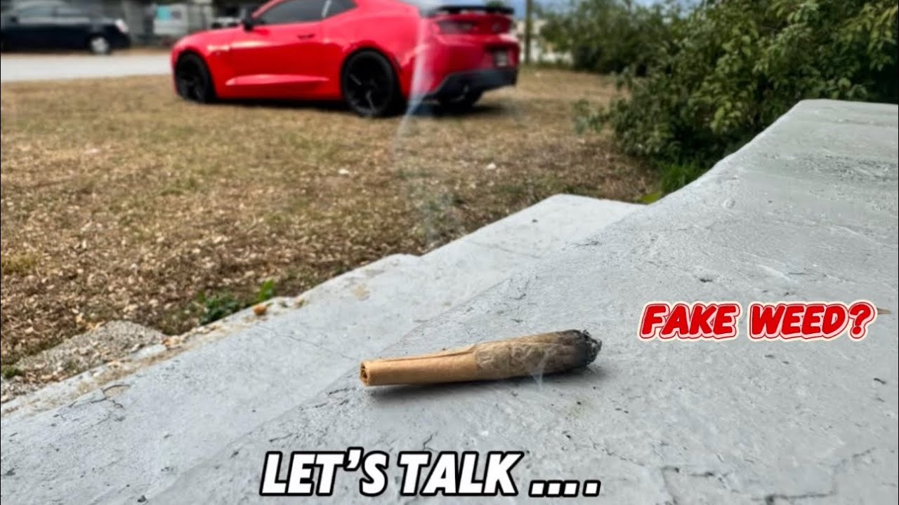 IM GUNNA PUT THIS FLOWER 🍃TO THE TEST .. - YouTube