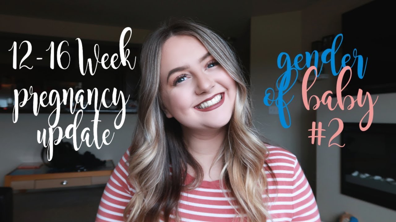 12 16 Week Pregnancy Update Gender Reveal Second Trimester Youtube 2205