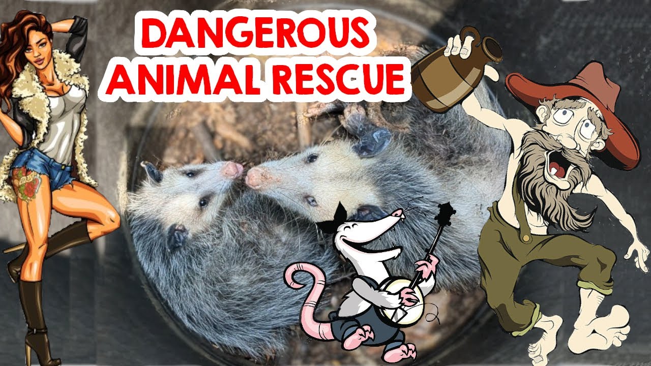 A Hillbilly And A Redneck Rescue 2 Wild Animals - YouTube