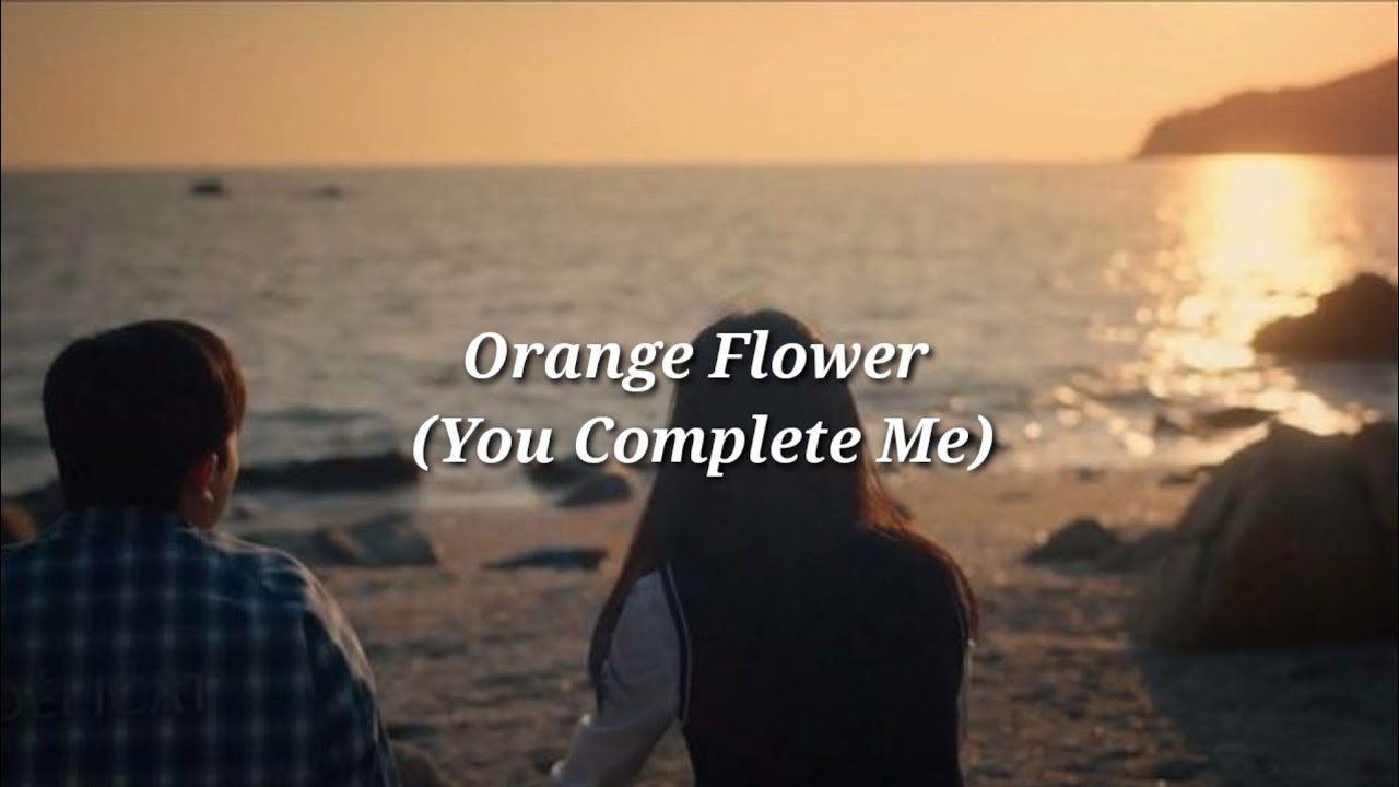 ENHYPEN - Orange Flower (You Complete Me) Lyrics | Lirik Terjemahan ...