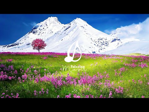 Uyku Müziği, Yeşil Bozkır ile Meditasyon Müziği | Rahatlatıcı Müzik (Relax 365)