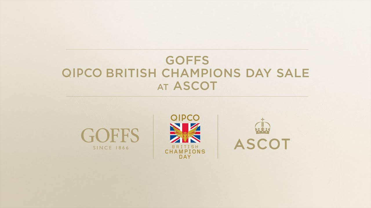 2023 Goffs QIPCO British Champions Day Sale at Ascot - YouTube