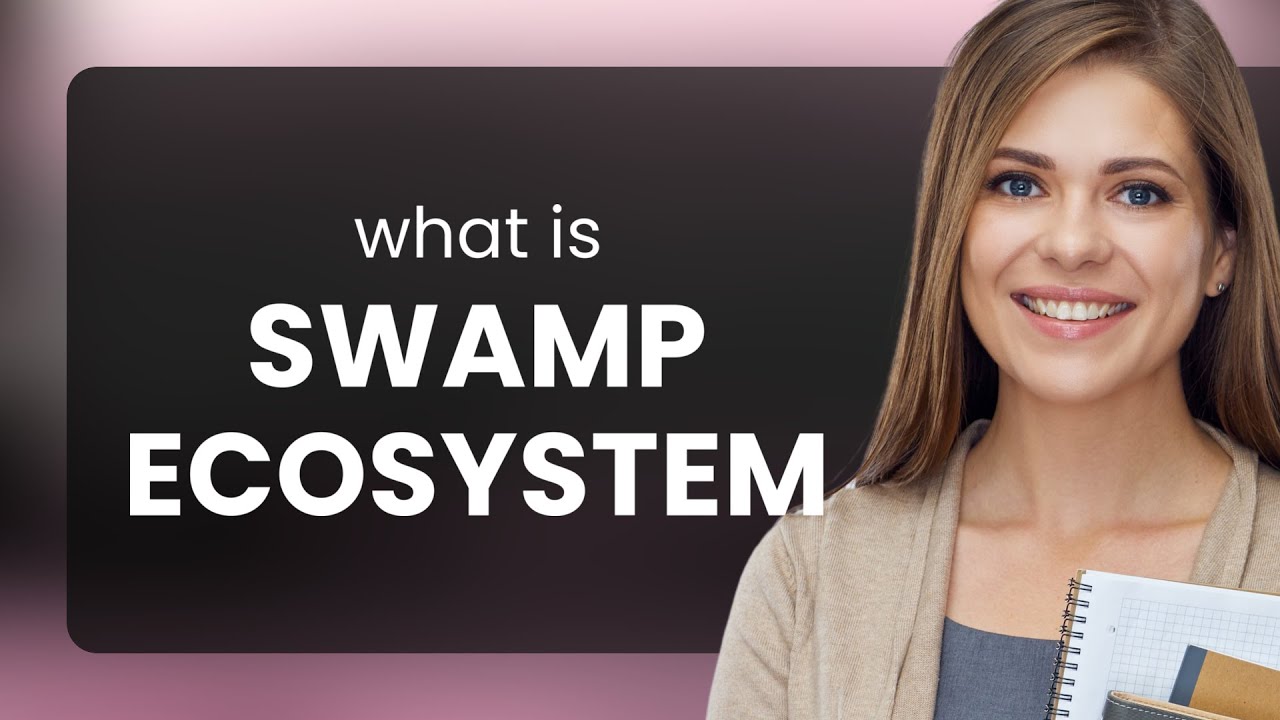 Exploring the Swamp Ecosystem: A Journey into Biodiversity - YouTube