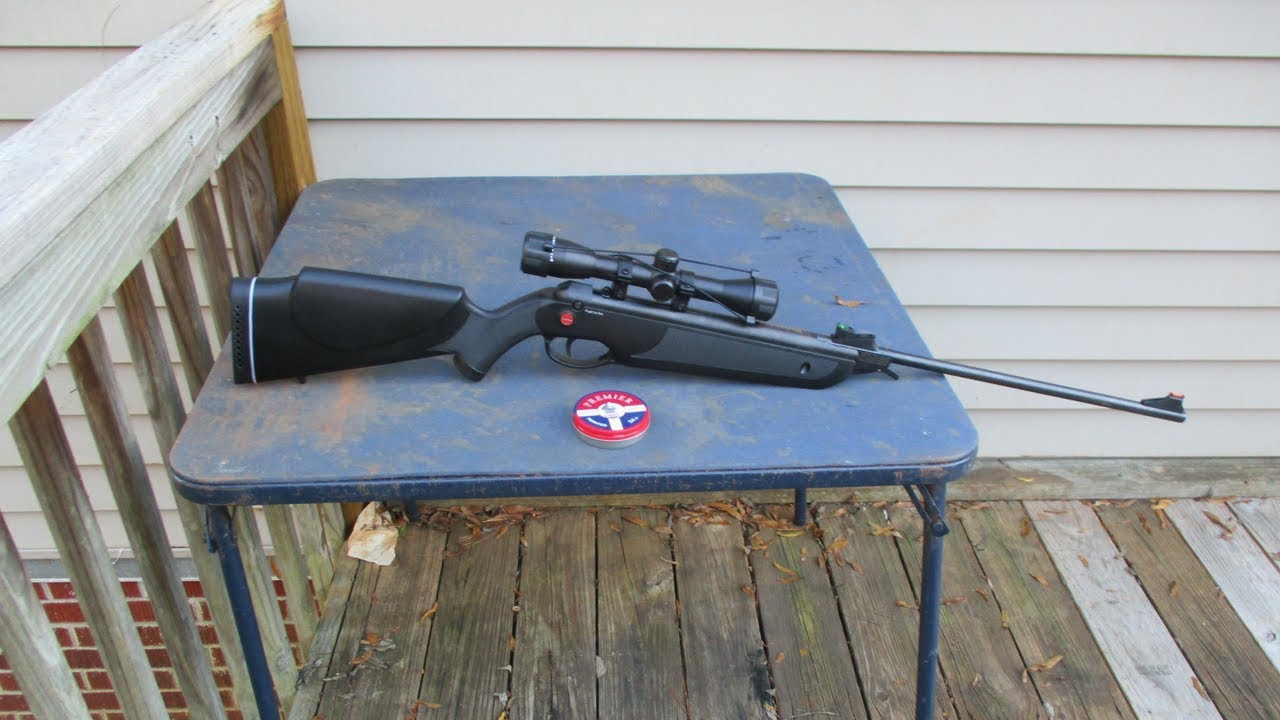 Marksman Big Bear .177 | Review | Shooting Test - YouTube