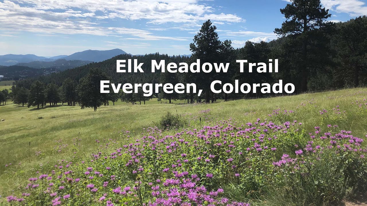 Hiking Trails in Colorado Elk Meadow Trail - YouTube