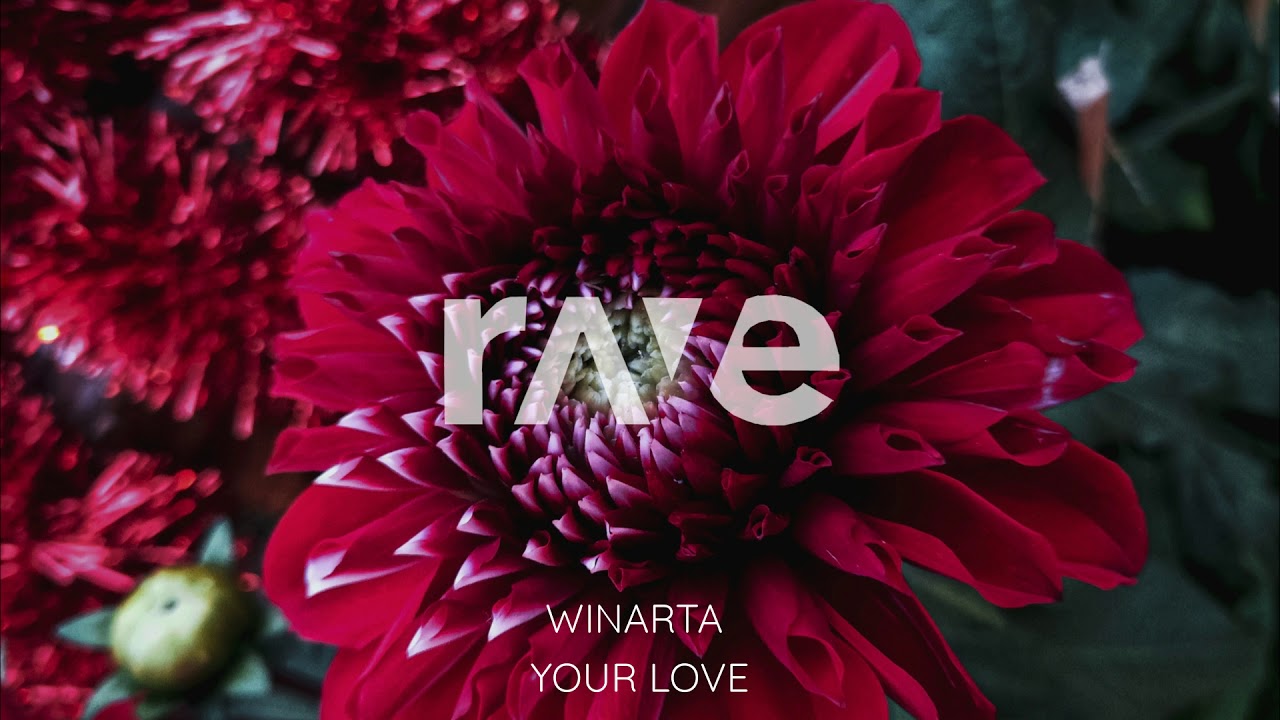 WINARTA - Your Love - YouTube