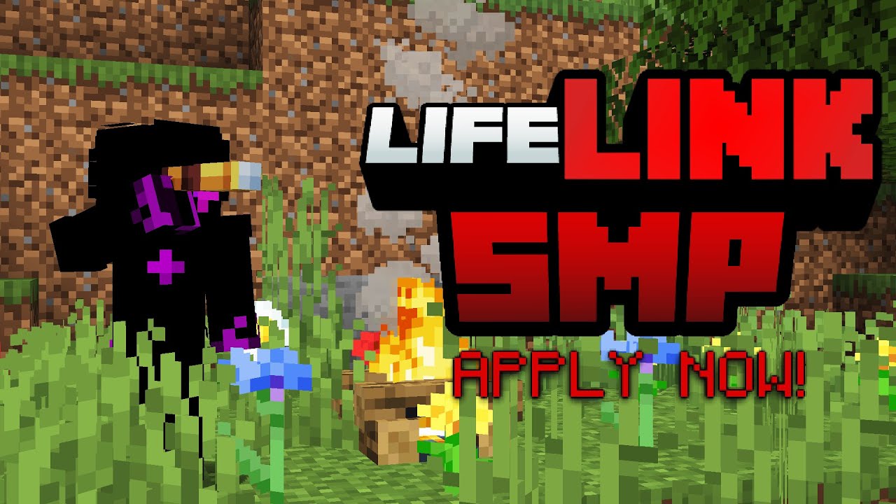 Lifelink SMP - SMP For Upcoming Creators (Applications Open) - YouTube