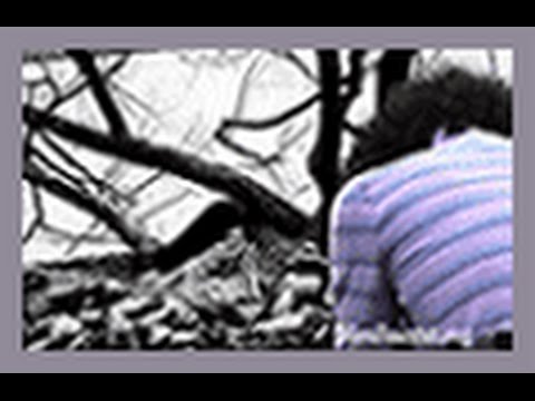 Real-Life Stories - Cyberbullying - You Can't Take It Back - YouTube