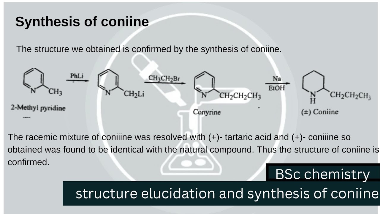 Structure elucidation and synthesis of coniine. #coniine # ...