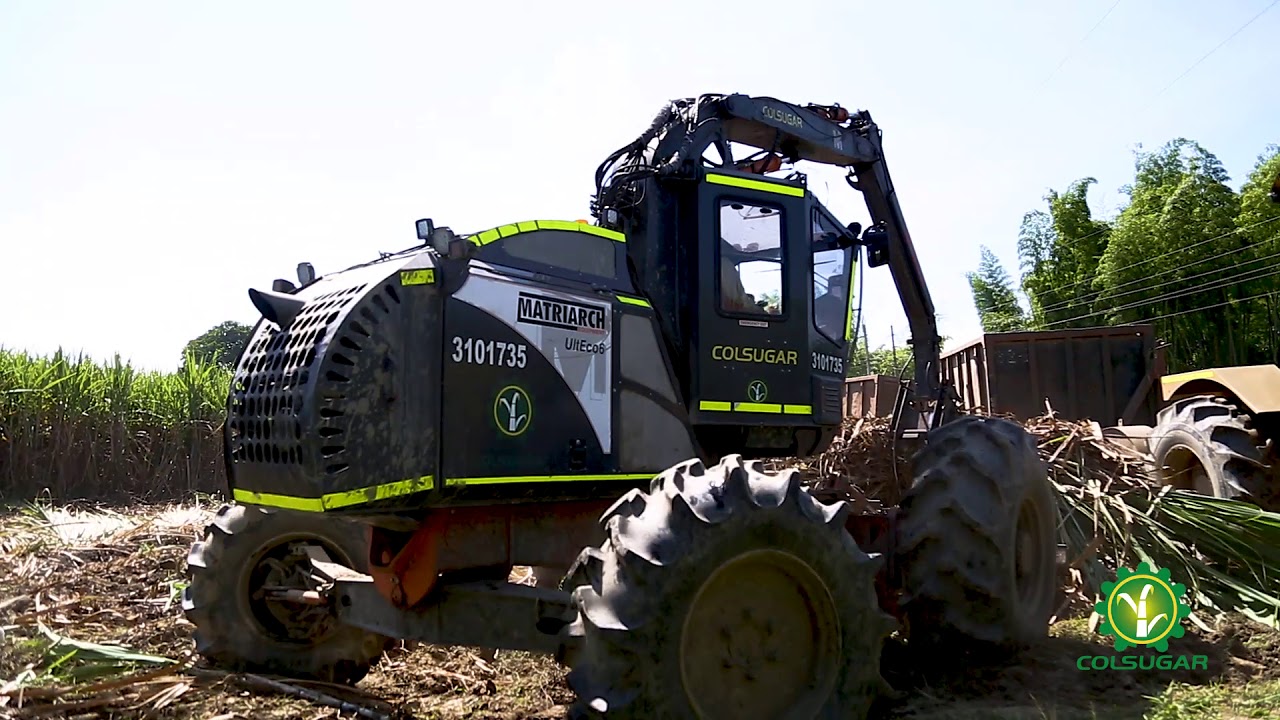 Alzadora Bell Matriarch UltECO 6. La alzadora de caña más versátil y ...