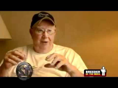 TUKAAN 616 Breeder of the Week - YouTube