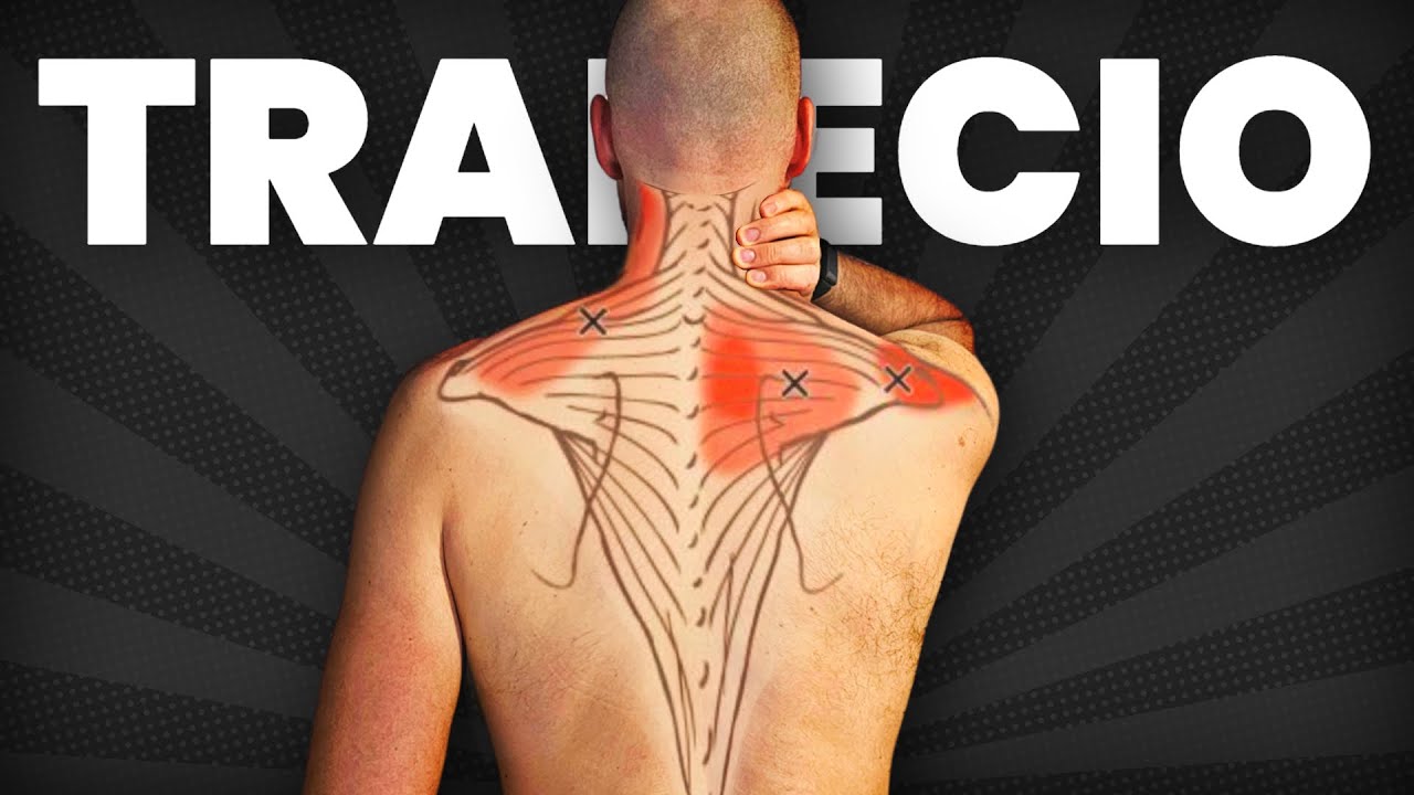 Elimina el dolor de TRAPECIO y CUELLO con estos 3 ejercicios que NADIE ...