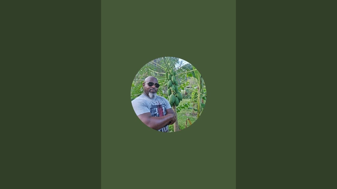 Soil Brotha @ Blacks Tropical Homestead is live! - YouTube